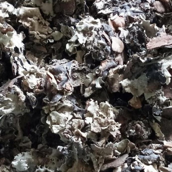 Home | jsglobaltraders